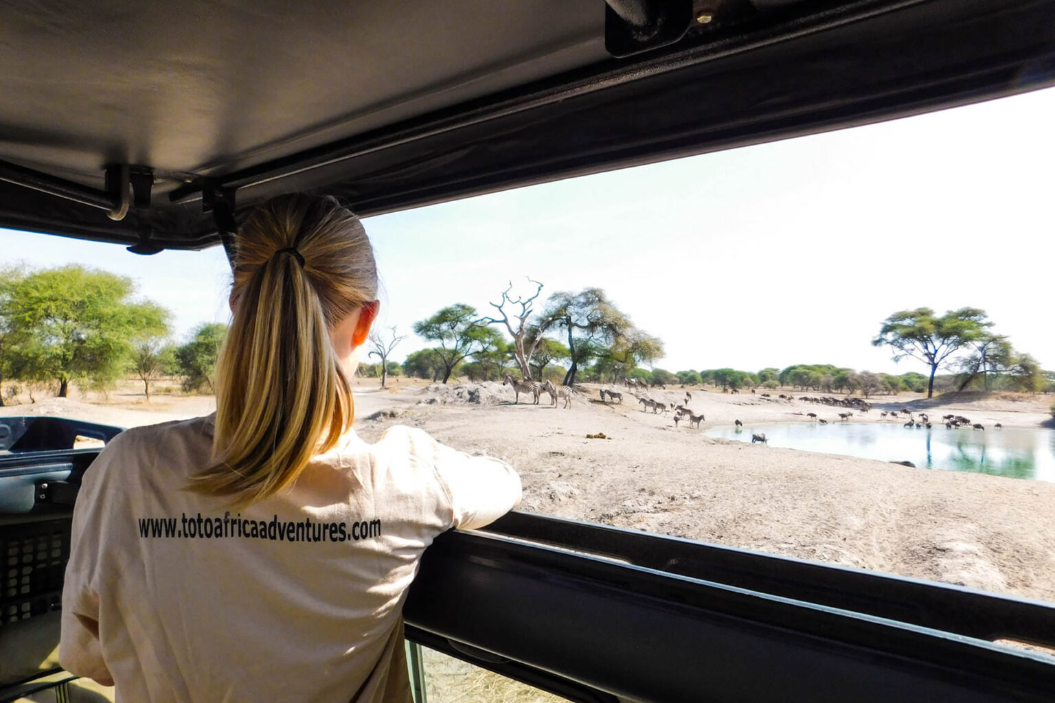Bespoke African Safari | Tanzania Tours - Toto Africa Adventures